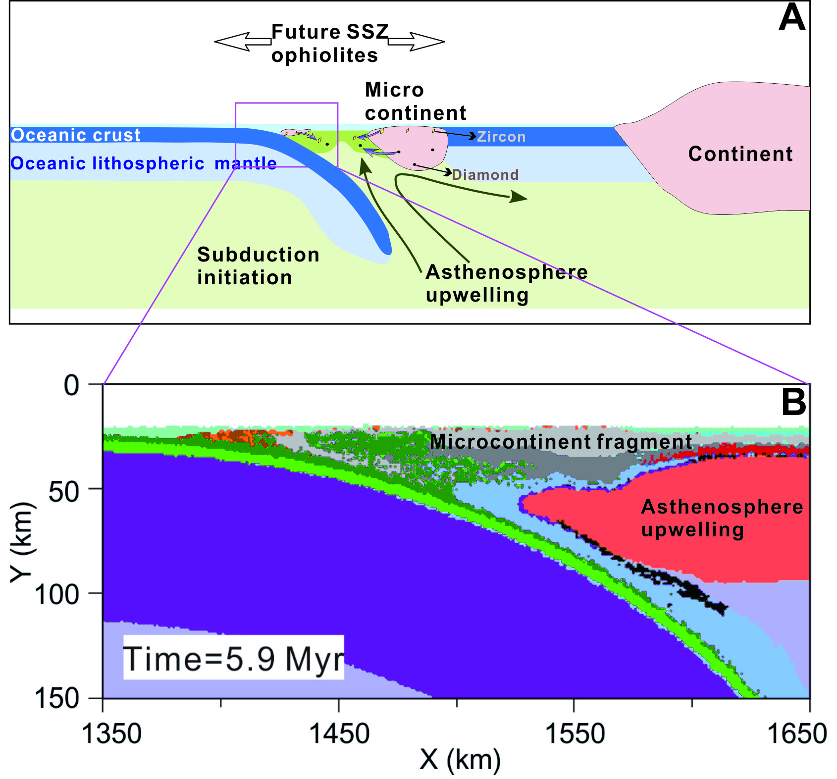 Do microcontinents nucleate subduction initiation? | Daniel Pastor-Galán